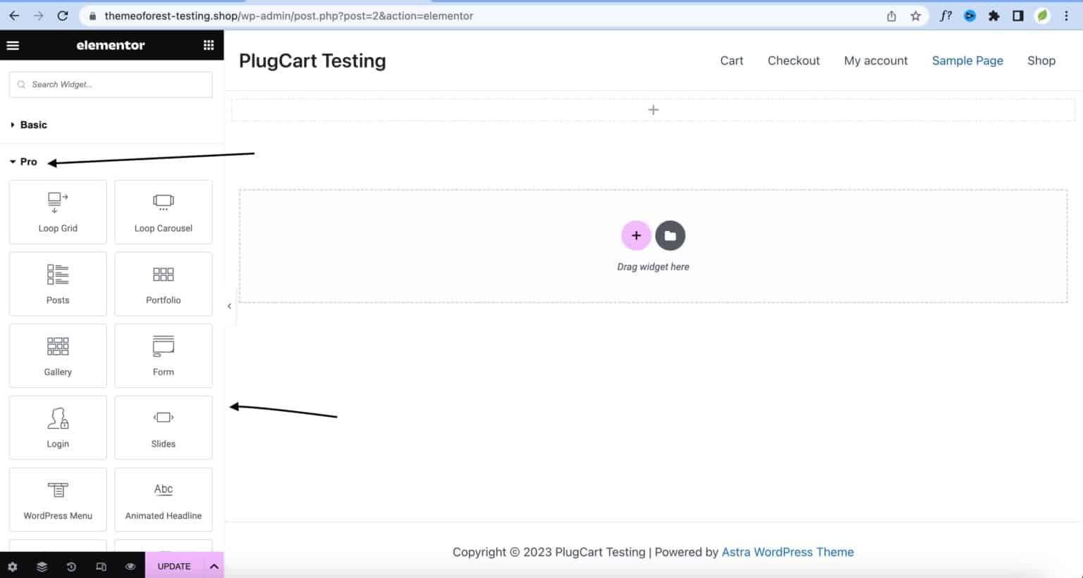 Elementor Pro Plugin | Discounted Price | WordPress Page Builder