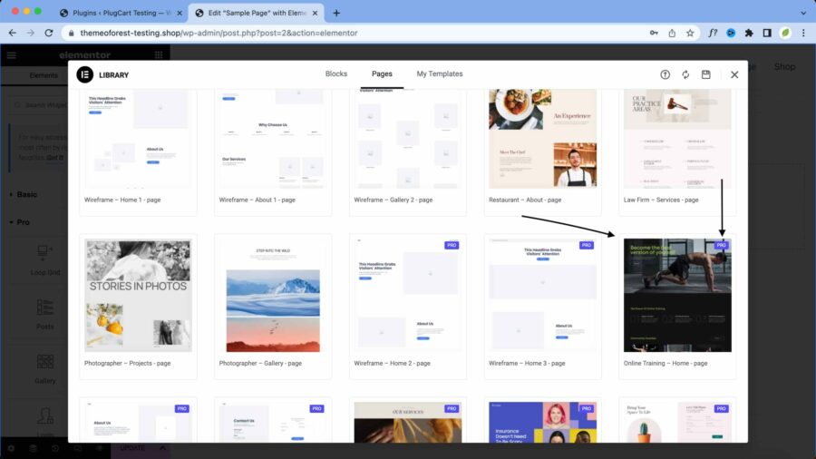 Elementor Pro Plugin | Discounted Price | WordPress Page Builder