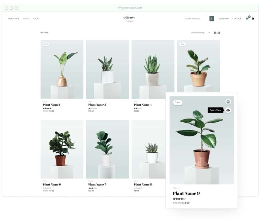 Astra Pro Addon For Astra Theme - Original License | PlugCart