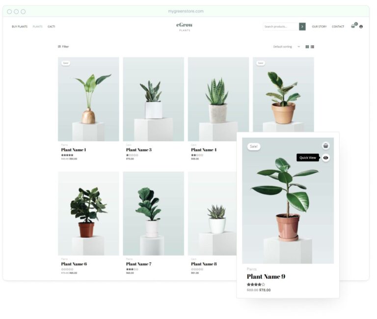 Astra Pro Addon For Astra Theme - Original License | PlugCart