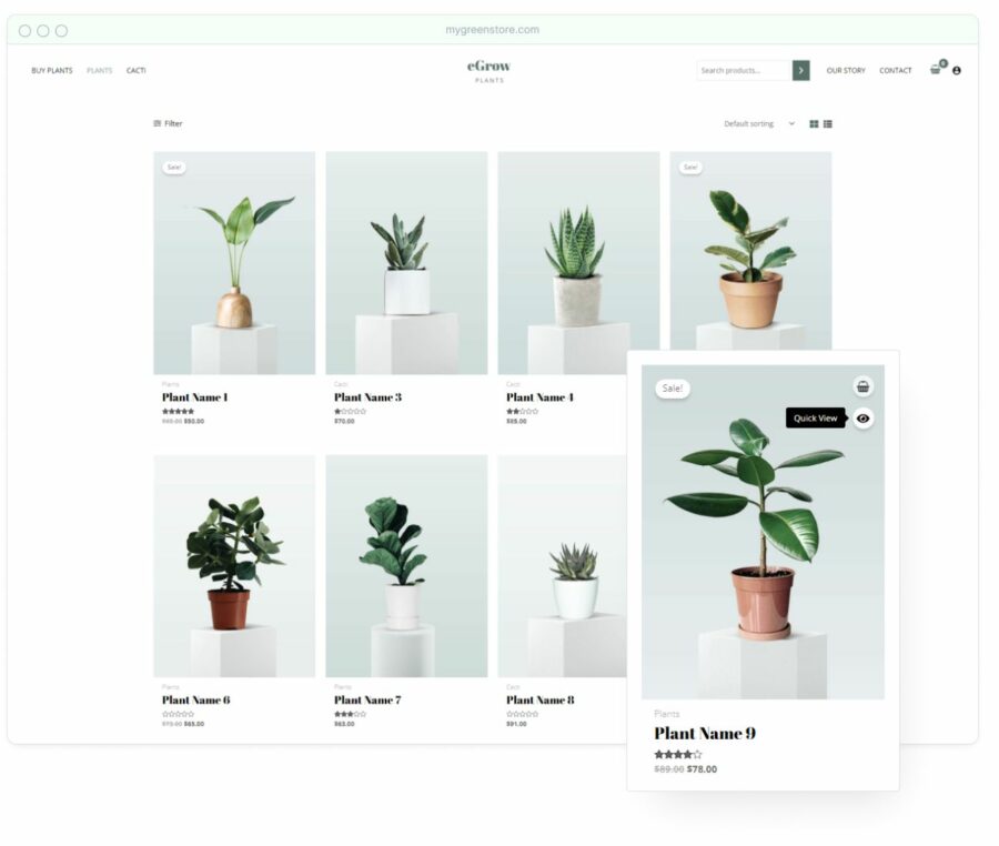 Astra Pro Addon For Astra Theme - Original License | PlugCart Astra Pro Addon For Astra Theme - Original License | PlugCart