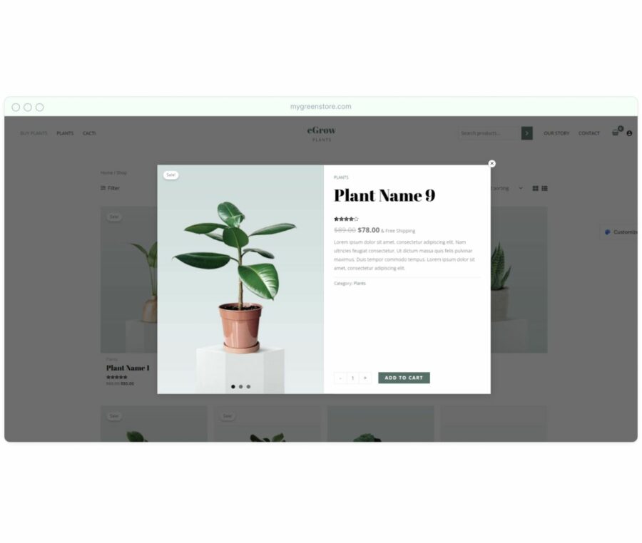 Astra Pro Addon For Astra Theme - Original License | PlugCart